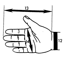 12 Wrist Circumference