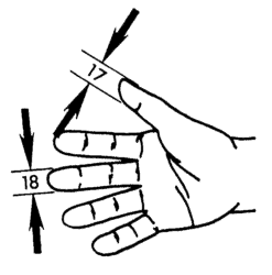 12 Wrist Circumference