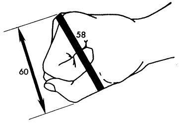 Anthrokids - Hand Measurements