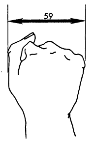 Anthrokids - Hand Measurements