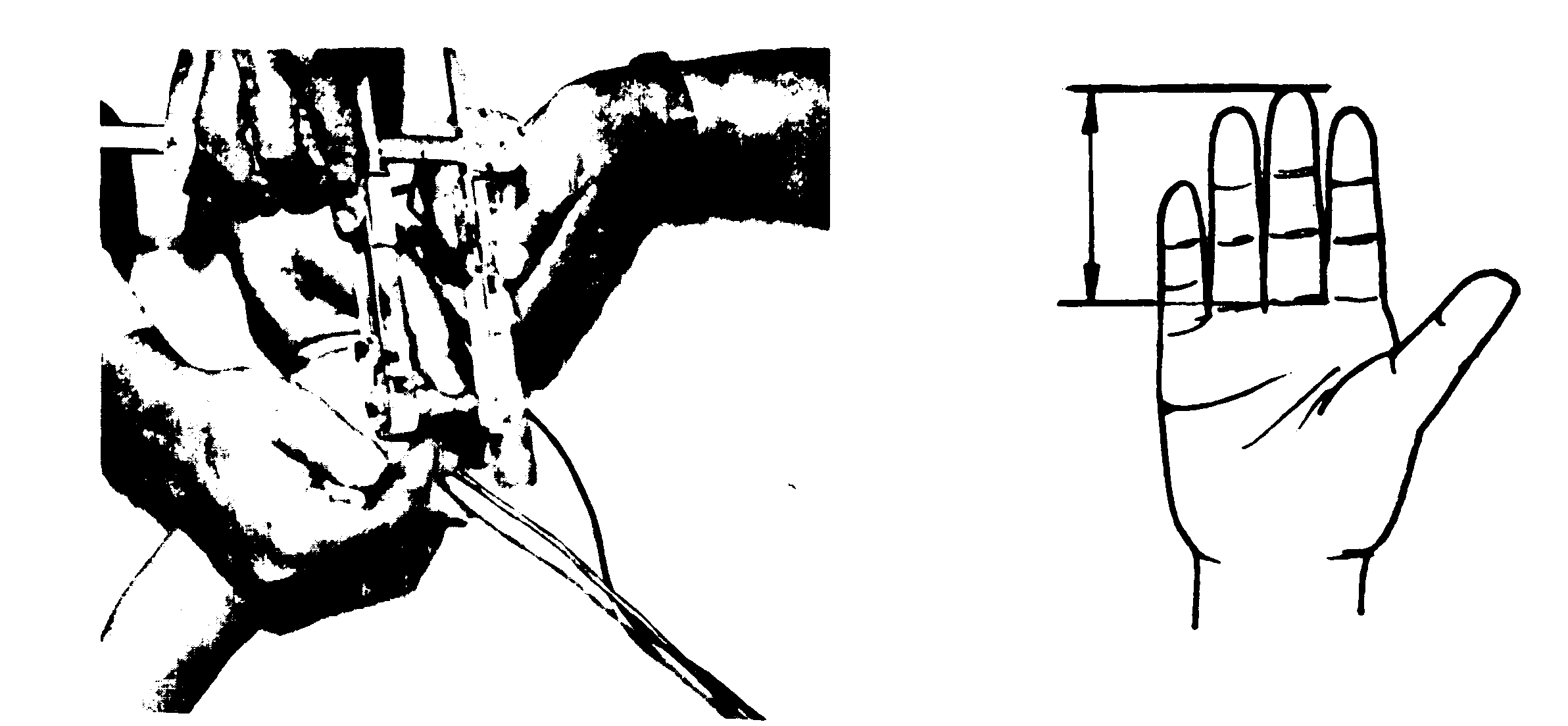 Physical Characteristics of Children