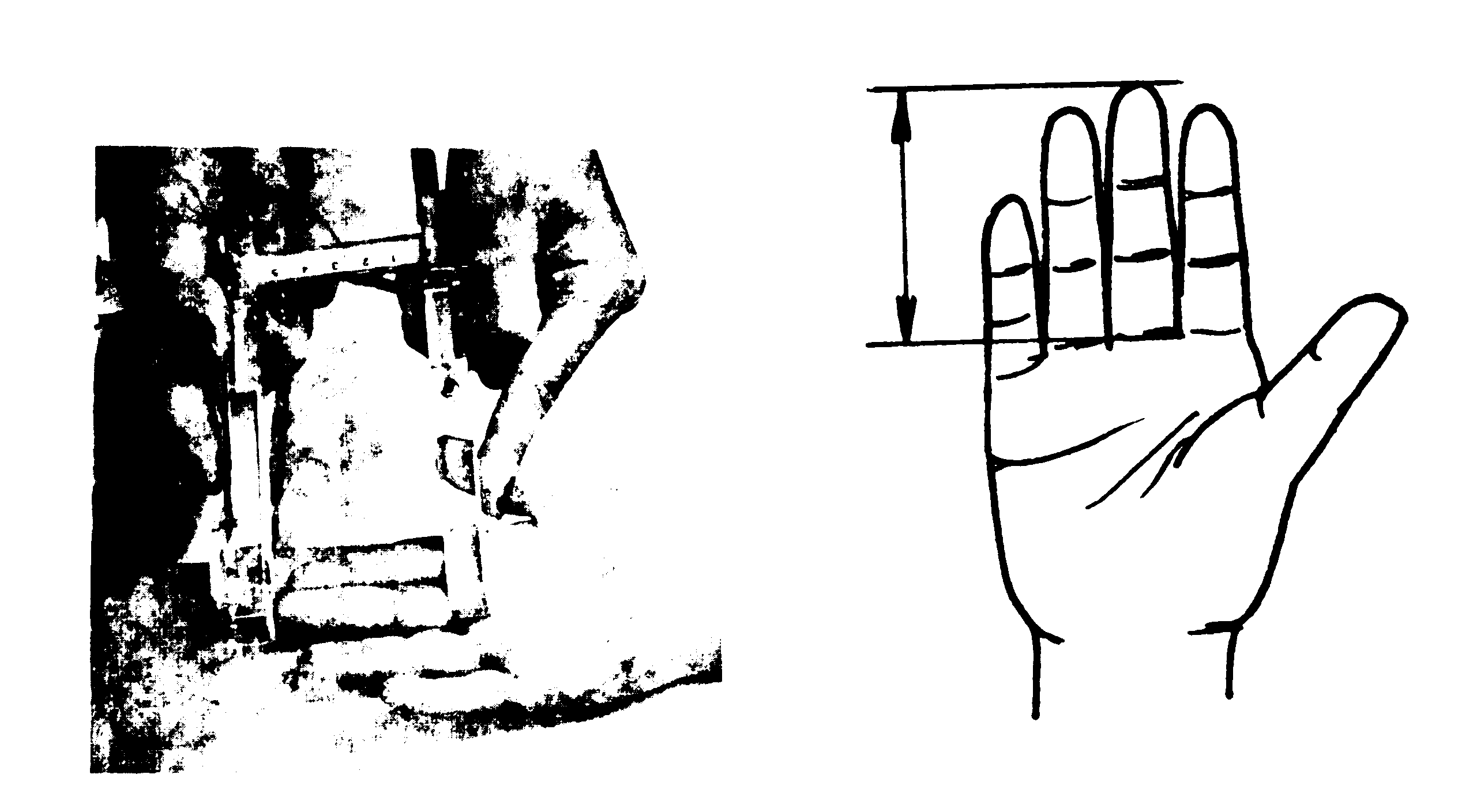 Physical Characteristics of Children